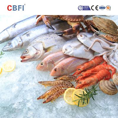 Cina Congelatore a spirale rapido di acciaio inossidabile doppio per scossa industriale che congela la macchina del congelatore di Iqf in vendita