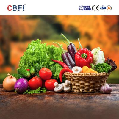 Cina CBFI SUS304 Congelatore a spirale dei noodles e dei dolci surgelati in vendita