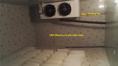 中国 水冷のビジネスを採取するための商業アイス キャンディー機械10トン/日BBI100 販売のため