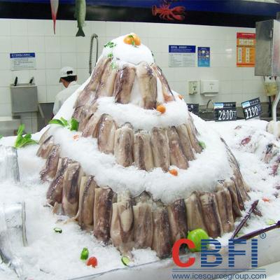 中国 CBFIの10トンは機械具体的な冷却のための氷メーカーはげる 販売のため
