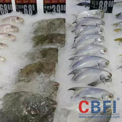 中国 CBFIの10トンは機械具体的な冷却のための氷メーカーはげる 販売のため