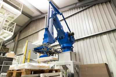 Cina YASKAWA MPL500 II ha utilizzato il braccio del robot industriale per il carico utile del posto e della scelta 500kg in vendita