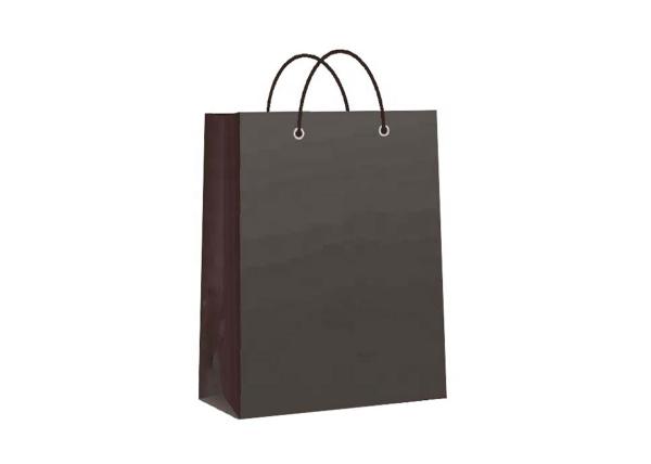 Shoes And Clothes Luxury Store Packaging Paper Bags 200g 250g 300g Custom Logo