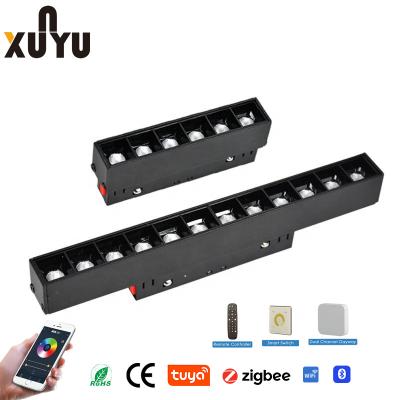 Cina La luce magnetica 6W della pista di Smart Tuya Wifi 48V ha condotto il riflettore lineare in vendita