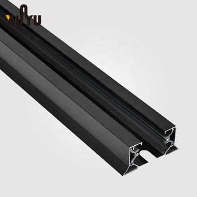 Cina Pista d'ottone del soffitto che accende illuminazione della pista del cavo del sistema ferroviario 110-248V 2 in vendita
