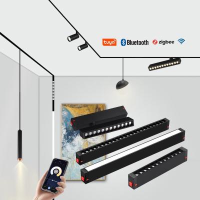 Китай 220V High Voltage Magnetic Track Light Embedded No Main Light Lighting продается