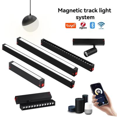 Китай 2.4G Intelligent Dimming And Color Adjustment Magnetic Track Light Grille Light продается