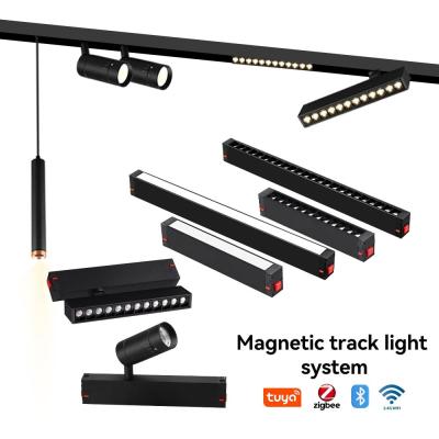 Китай 25MM Magnetic Track Light 220V Floodlight Home Living Room Without Main Light Lighting продается