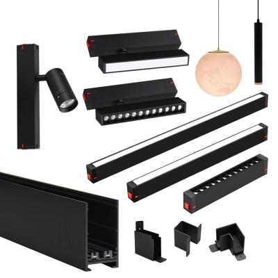 Китай 2.4G Tuya Smart Dimming And Color Adjustment Magnetic Suction Track Light Without Main Light продается