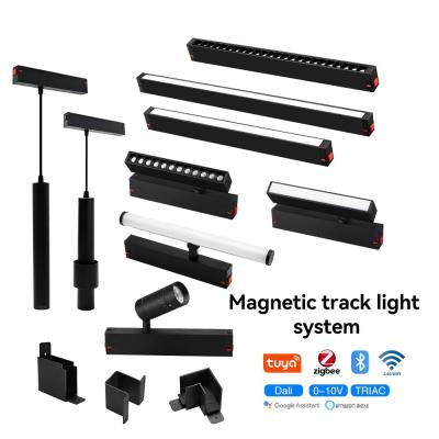 Китай Zigbee Tuya Smart Control Magnetic Track Light 10W 20W LED Floodlight продается