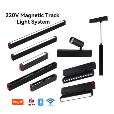 中国 High Voltage Magnetic Track Folding Grille Light COB OSRAM Chip Track Light 販売のため