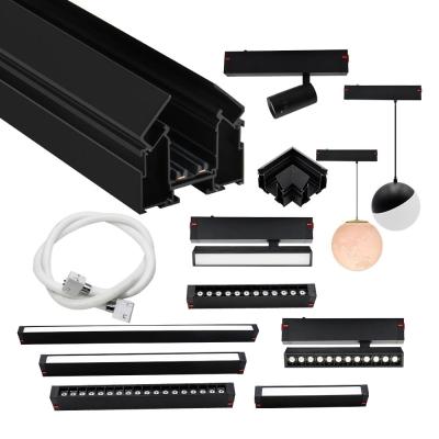 中国 220V ツヤ スマート マグネットトラックランプ 10W 20W ブラック 線形 LED 投光灯 販売のため