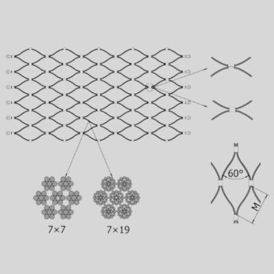 Cina SUS Wire Rope Mesh per il sistema di muro verde in vendita