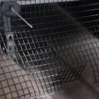 China Solar Panel Bird Mesh Protection Proofing for sale