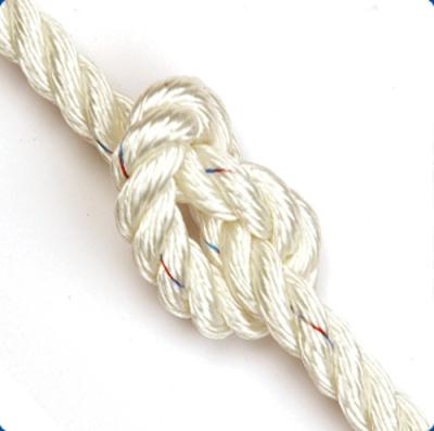 China dia 5mm-38mm white or colors nylon 3-strand twsit cord from AA rope factory for sale