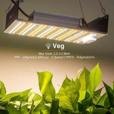China Hydroponic Grow Light Full Cycle Spectrum LED Grow Lights For Indoor Plants Veg Bloom for sale