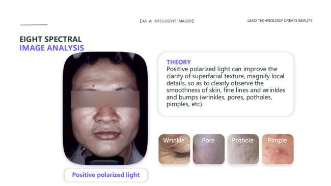 face-analysis-system