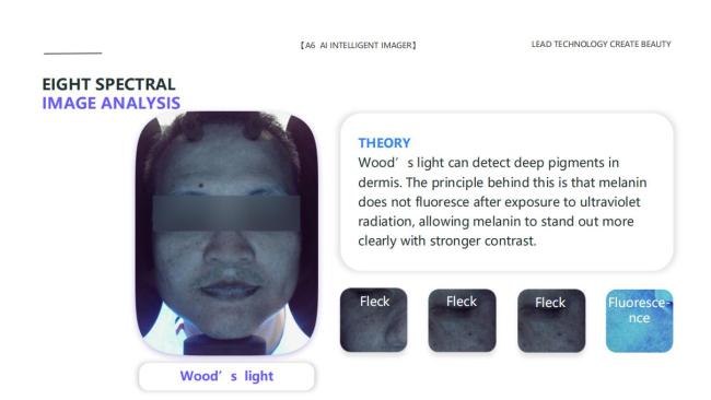 face-analysis-inerface-display