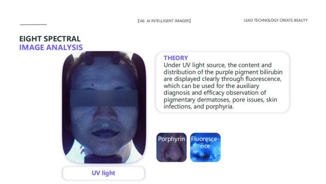 face-analysis-system