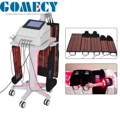 Cina La macchina laser per la rimozione del grasso corporeo, la macchina laser per il sollievo dal dolore 5D Maxlipo. in vendita