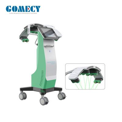 Cina Macchina per dimagrimento laser a luce verde 532nm con schermo a colori touch in vendita
