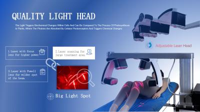 Cina LuxMaster Laser Therapy Machine Lllt Red Cold Laser Machine per il dolore in vendita
