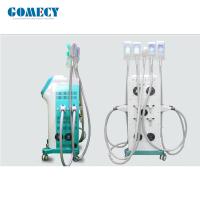 China Multifunction Cryolipolysis Machine , 360 Cryotherapy Fat Freezing Machine for sale