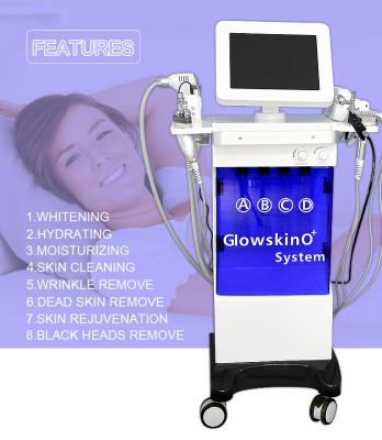 Cina OEM 11 in 1 Hydra Dermabrasion Machine attrezzature idrofacciali per saloni di bellezza in vendita