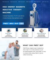 China PMST MAX DUO for sale