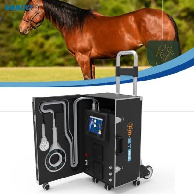 China Veterinary Pain Relief Magnetic Therapy Physical Rehabilitation Device For Horse Health Care for sale
