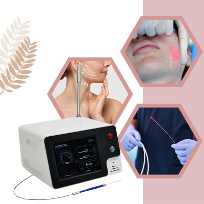 중국 두 개의 파장 980nm 1470nm 다이오드 레이저 지방분석 기계 판매용