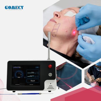 중국 980 1470nm 다이오드 레이저 몸 조각 기계 지방 녹기 및 피부 강화 치료 판매용