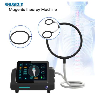 China Pmst Loop Magneto Pemf Physical Therapy Pmst Loop High Powered Pemf Therapy Machine For Horse And Human for sale