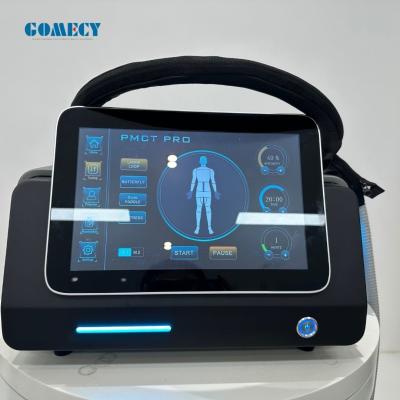 China Pmst Loop Magneto Pemf Physical Therapy Pmst Loop High Powered Pemf Therapy Machine For Horse And Human for sale