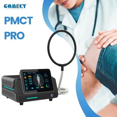 China Pmst Loop Magneto Pemf Physical Therapy Pmst Loop High Powered Pemf Therapy Machine For Horse And Human for sale