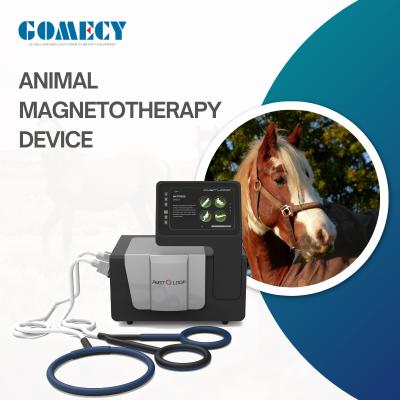China Dual Program PEMF Therapy Machine for Human and Animal Pain Relief and Rehabilitation for sale