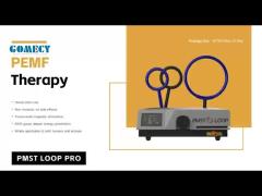 2024 6000 Gauss PEMF Physio Magneto Therapie Fysiotherapieapparatuur Spierstimulator Podiatrie Oefening Rehabilitatie