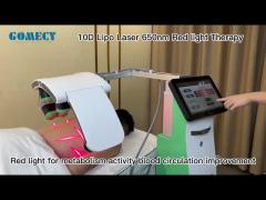 GMS-865 10D Laser e Lipólise Corporal Maxlipo Master Cryo Cooling Slimming Fat Freezing Radiofrequência Máquina Cryo para Perda de Peso