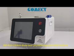 Pijnverlichting Lasertherapie Fysiotherapie Diodelaser 980Nm 810nm 650nm 1064nm Klasse 4 Laser