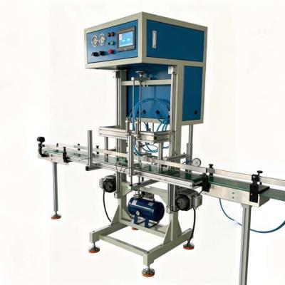 China Automatic Online Bottle Leak Tester For Blow Molding & Packaging Production Lines for sale