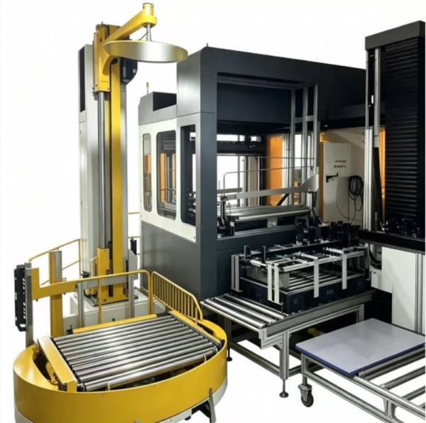Quality Fully Automatic Gantry Palletizing And Inline Stretch Wrapping System for sale