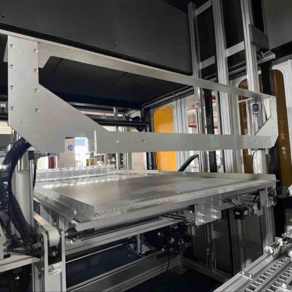 Quality Fully Automatic Gantry Palletizing And Inline Stretch Wrapping System for sale