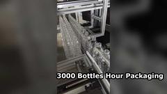 Fast Packaging Machine 3000 Bottles Hour
