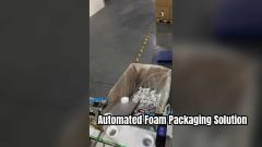 4-Cavity Foam Insert Cap Liner Insertion Machine with Tick-OutFunction and PLC  Touchscreen