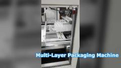 Automated Multi Layer Packaging Machine for Factories
