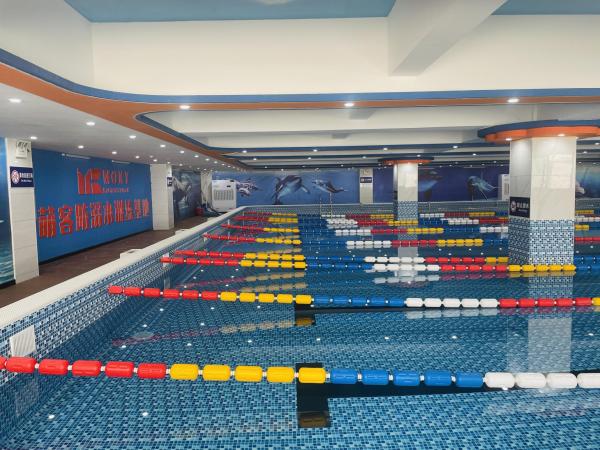 Quality Outdoor Recyclable Swimming Pool For Adults Energy Saving Customized for sale