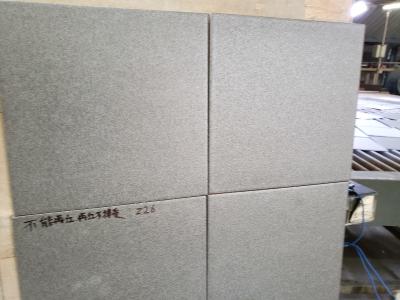 Cina Il modello semplice moderno della piastrella per pavimento ha personalizzato la piastrella per pavimento 300X300 ceramico in vendita
