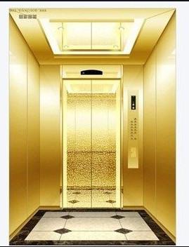 China Sala da máquina do MRL menos a pessoa hidráulica do elevador 800KG 10 do elevador à venda