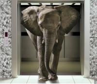 China Automatic 380V 30kw Power Cargo Elevator For 2-8 Floors Heavy Duty Loading for sale