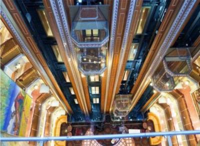 China 10 Persons Panoramic Elevator 800KG Round Glass Elevator Residential for sale